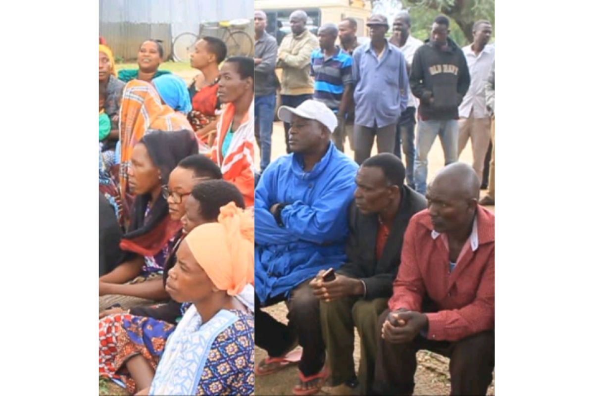 Wakulima 32, 000 kufundwa kuzuia upotevu wa chakula | Mwananchi