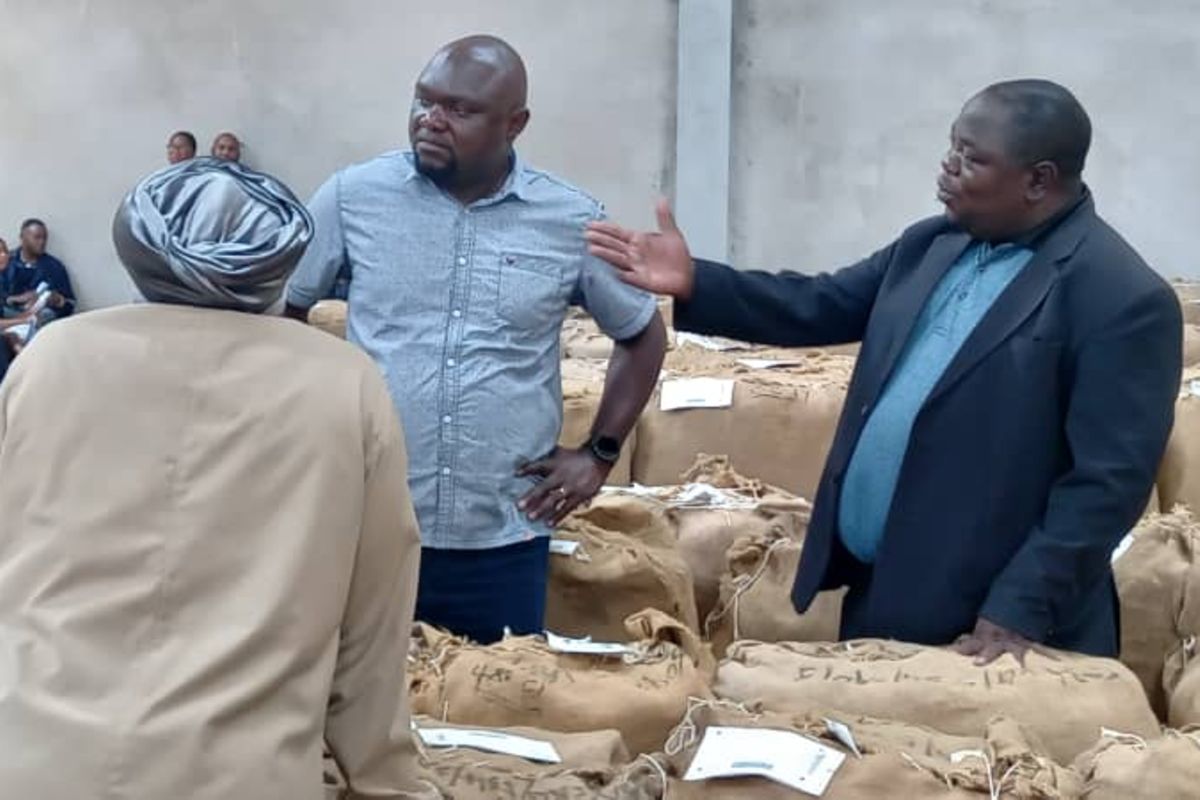 TTB yawatoa hofu wakulima wanaodai makampuni ya ununuzi tumbaku | Mwananchi TTB yawatoa hofu wakulima wanaodai makampuni ya ununuzi tumbaku | Mwananchi